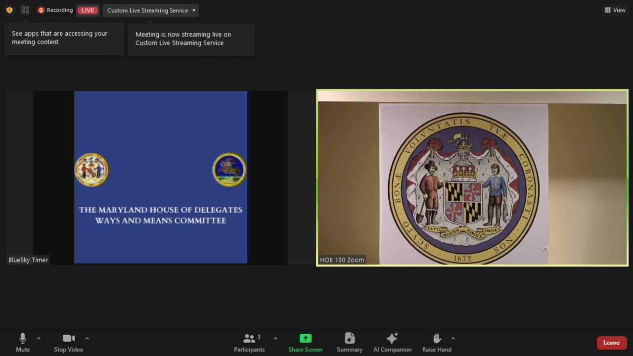 WAM_2_1_2024_meeting_1